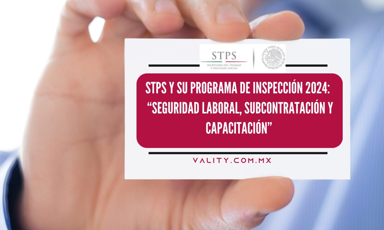 STPS y su Programa de Inspección 2024 - Vality Consulting Group